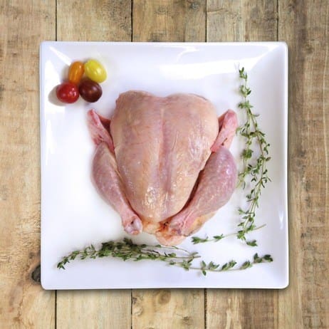 Free Range and Pastured Affordable Chicken Products | Nutrafarms