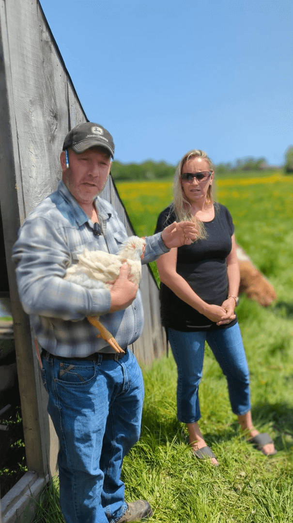 What Is Pastured Chicken? Discover the Health and Environmental ...