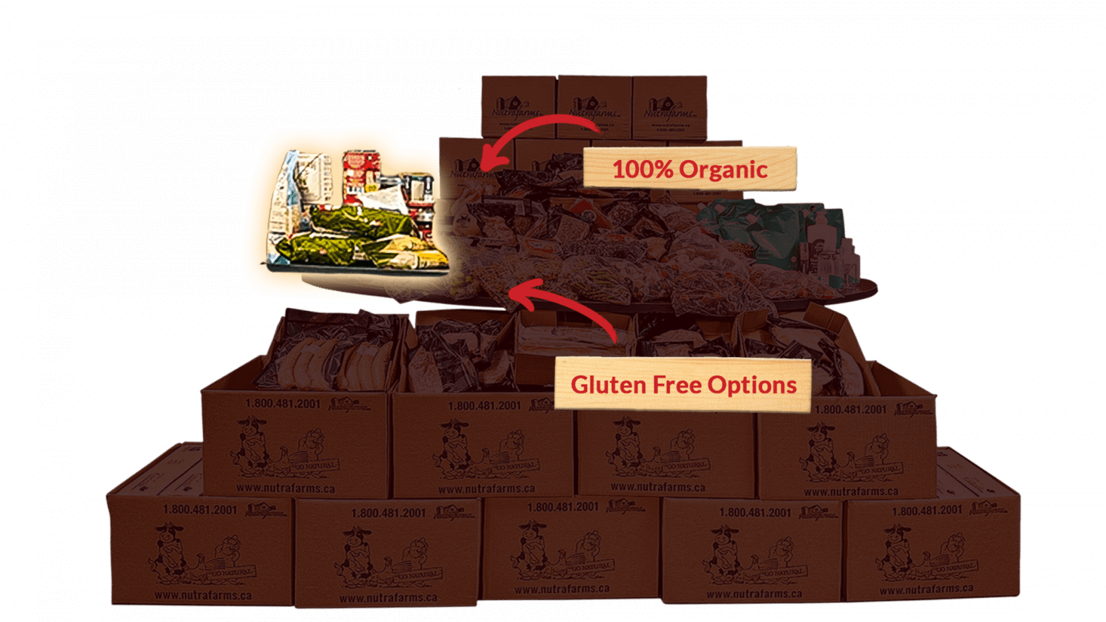 What we offer – Build Your Farm Package